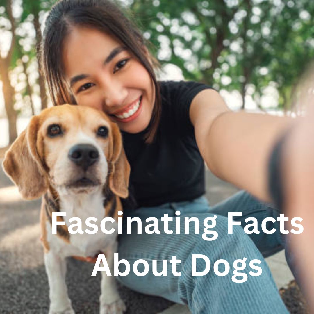 10 Fascinating Facts About Dogs. - Petglimpse.com